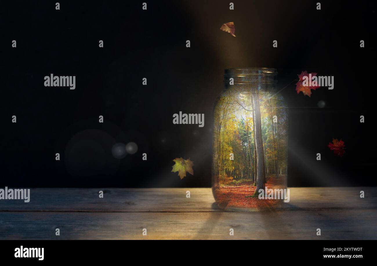 Autumn forest inside a jar with falling maple leaves outside Stock ...