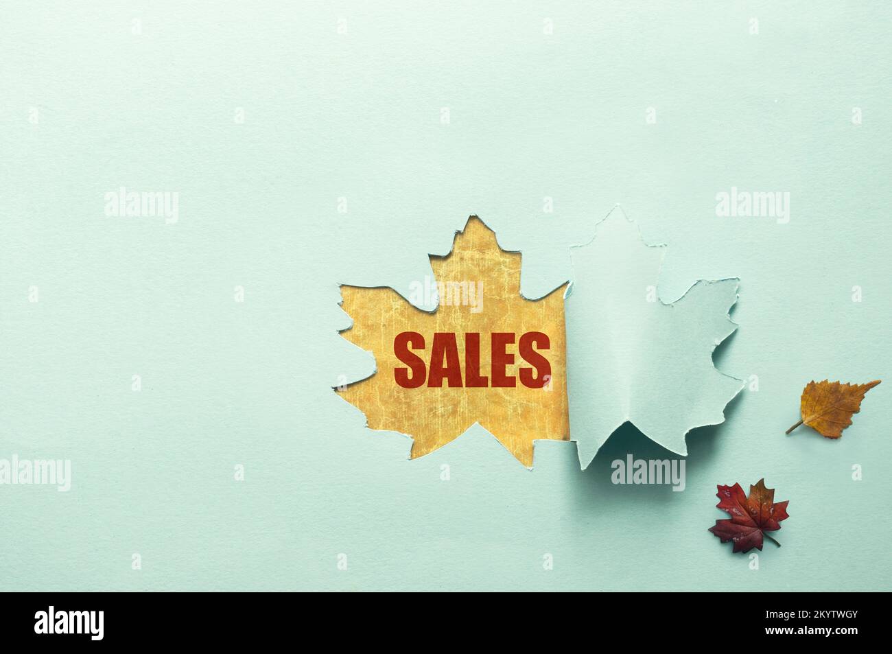 Autumn leaf sales paper reveal Stock Photo - Alamy