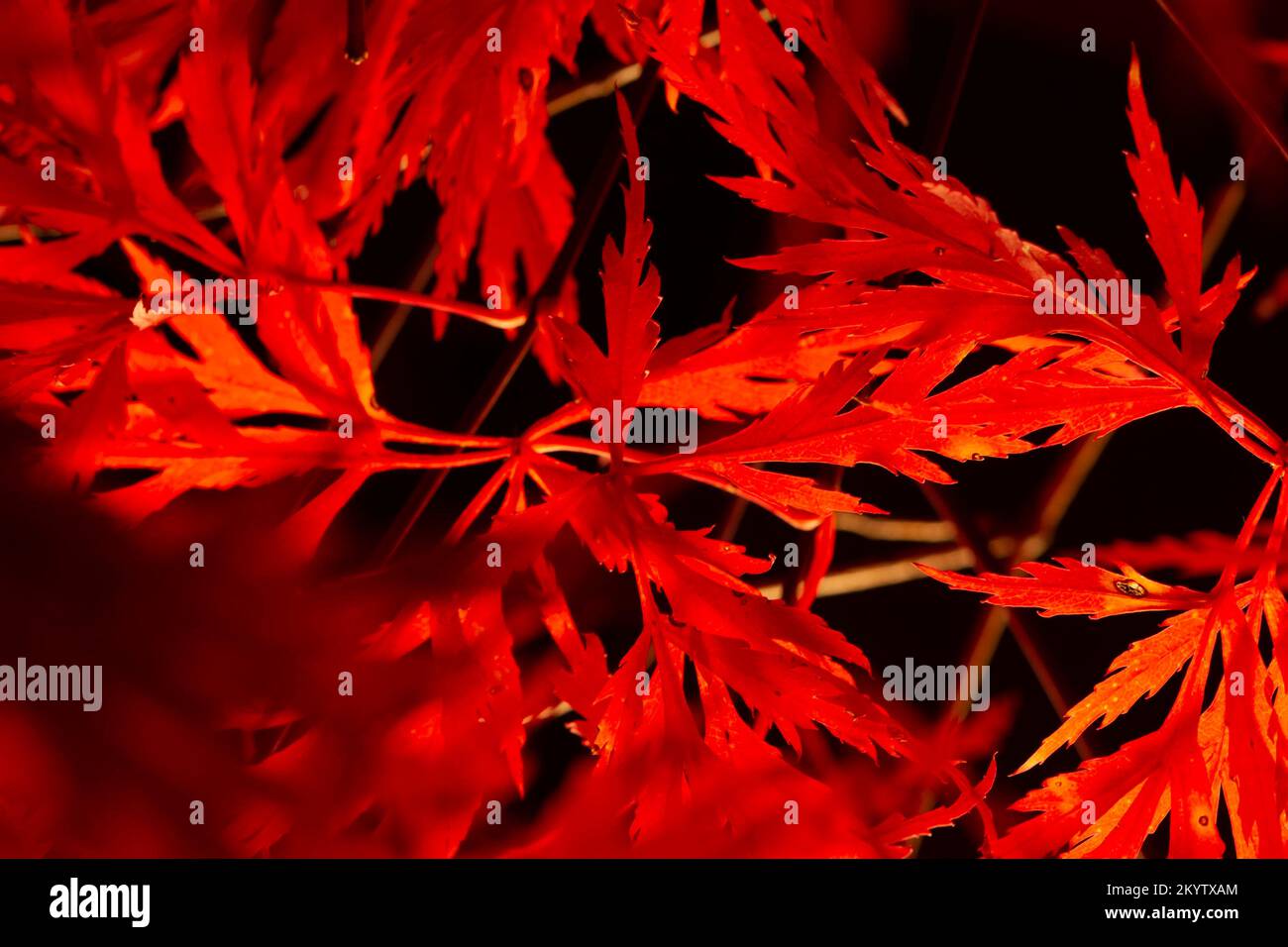 Tableau des couleurs hi-res stock photography and images - Alamy