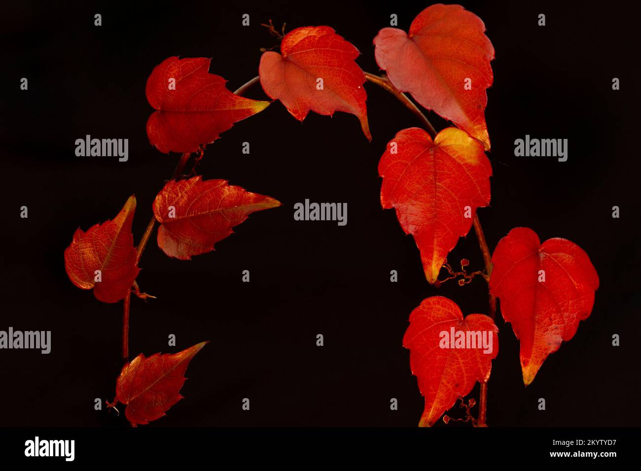 Tableau des couleurs hi-res stock photography and images - Alamy