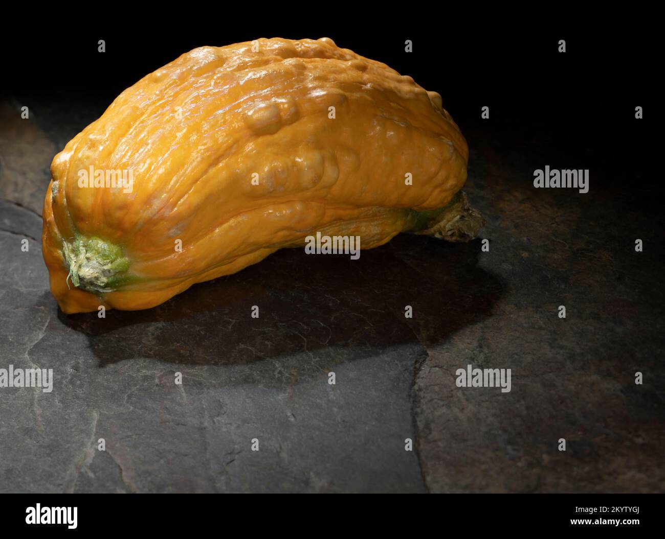Copy space below a short and fat yellow squash on a beige stone surface ...