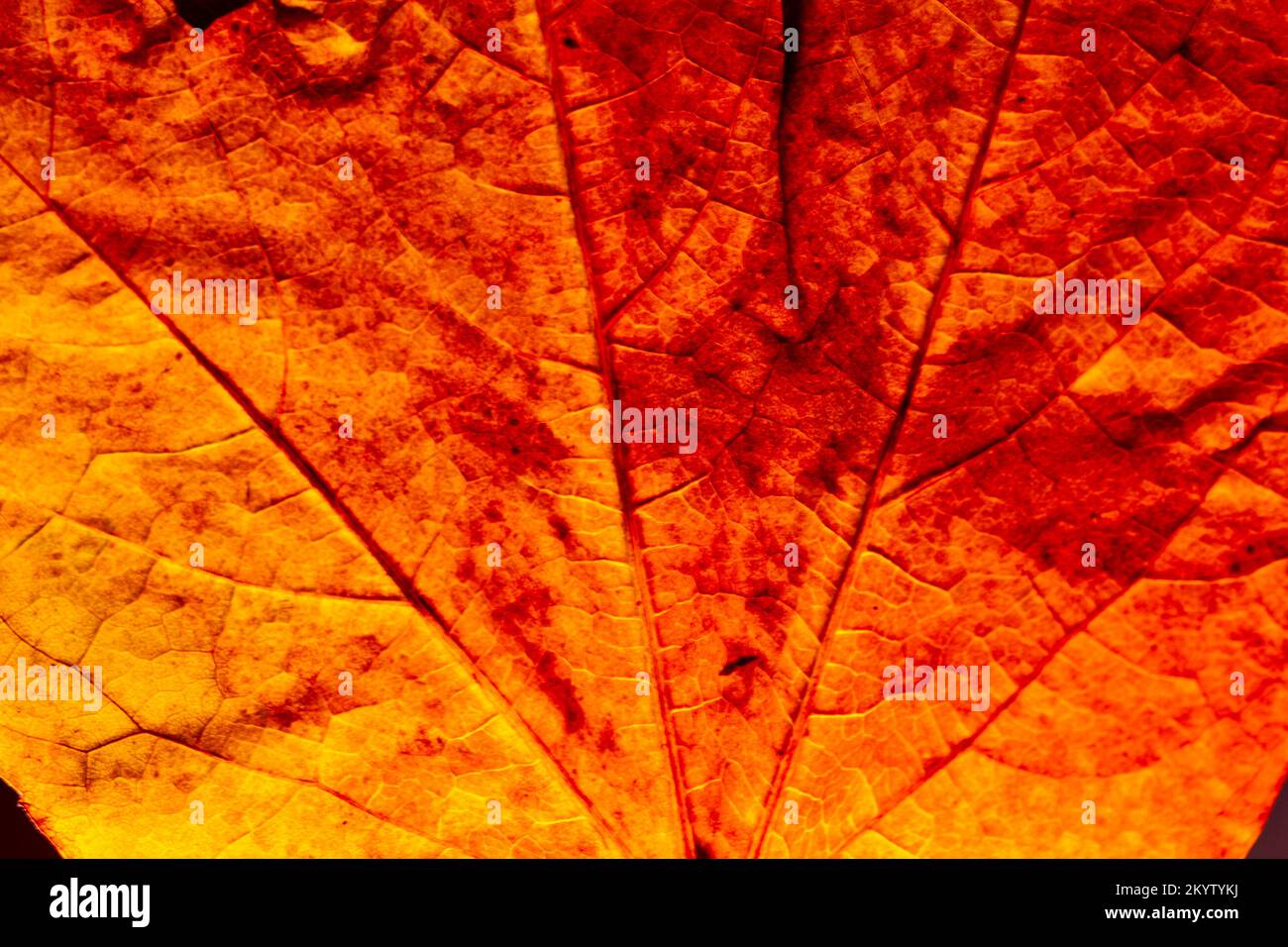 Tableau des couleurs hi-res stock photography and images - Alamy