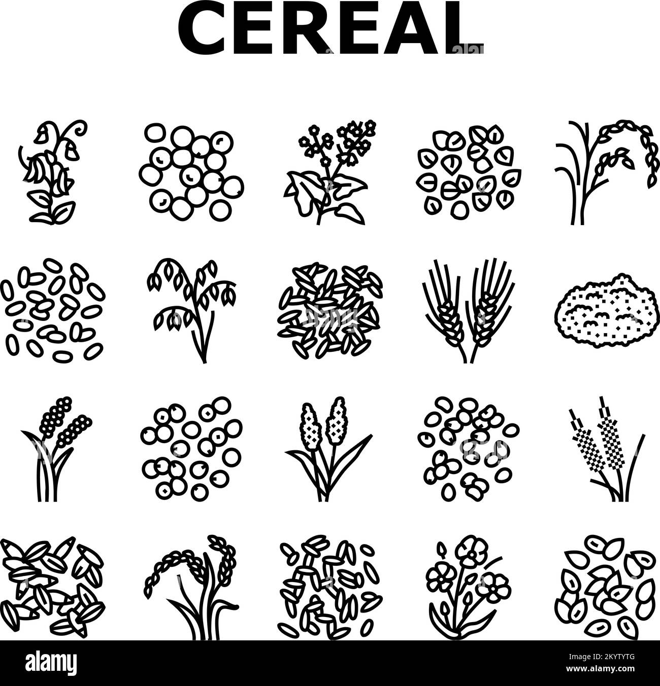 cereal plant healthy food icons set vector Stock Vector Image & Art - Alamy
