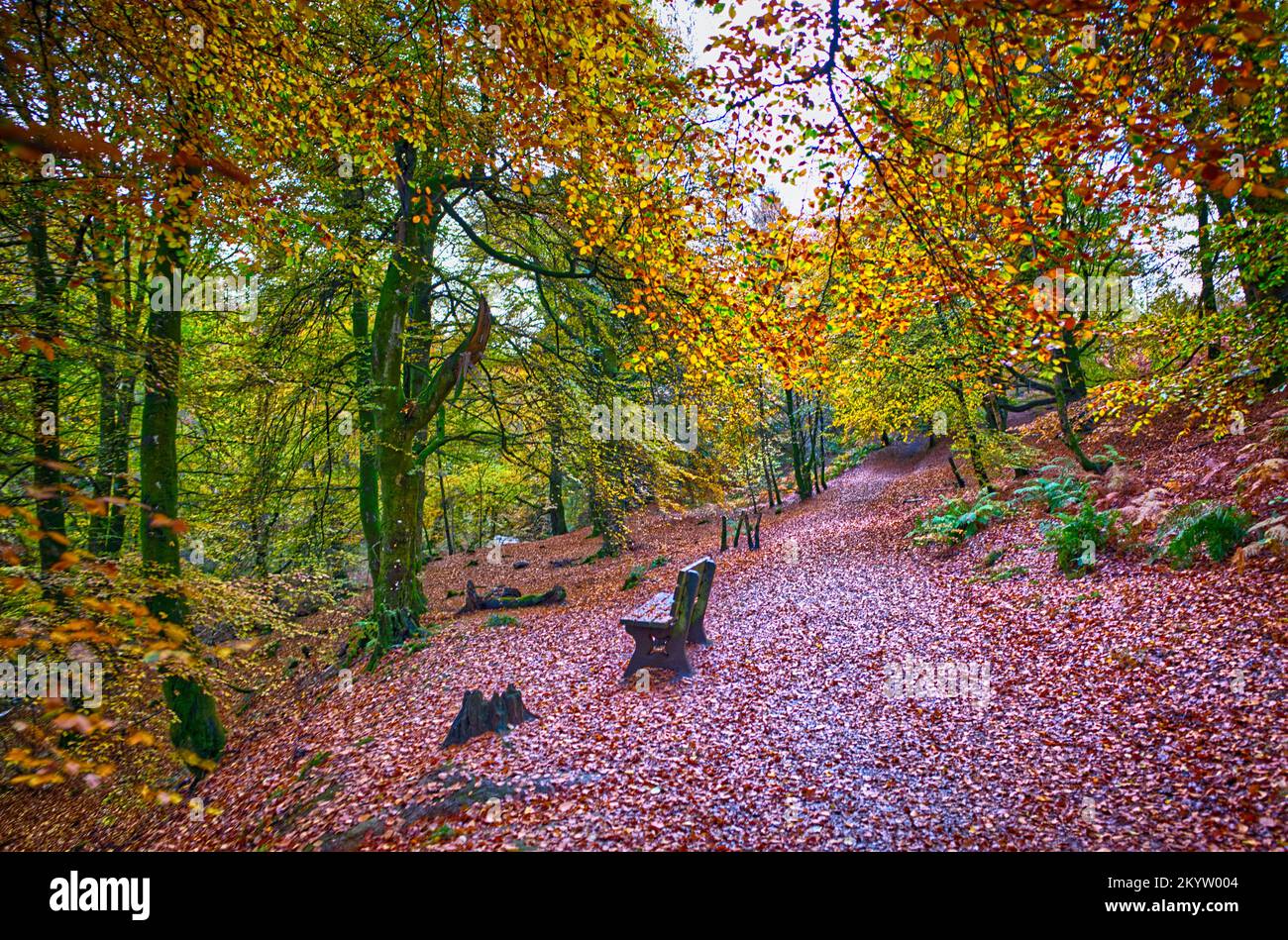 The Birks of Aberfeldy Stock Photo - Alamy