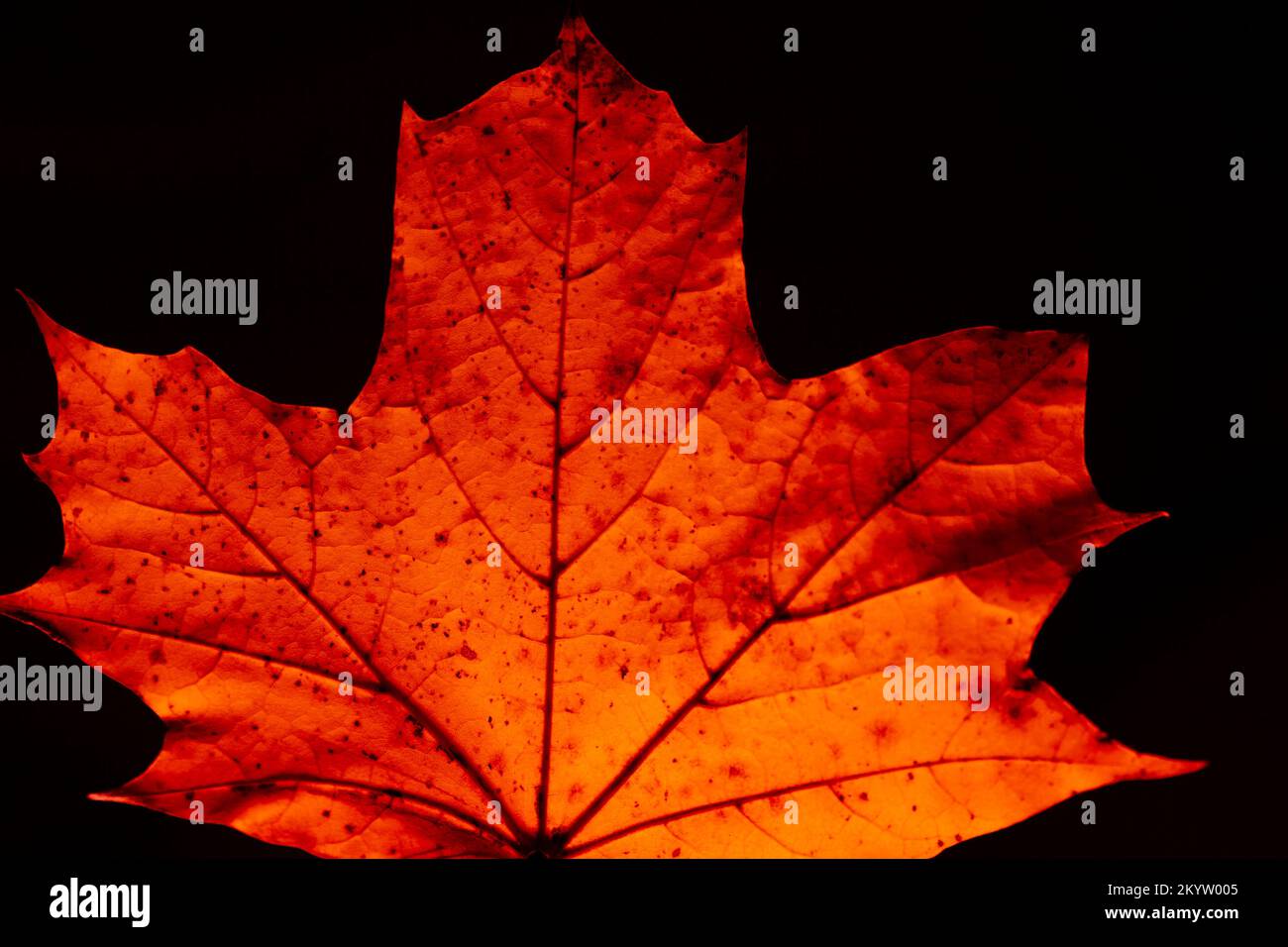 Tableau des couleurs hi-res stock photography and images - Alamy