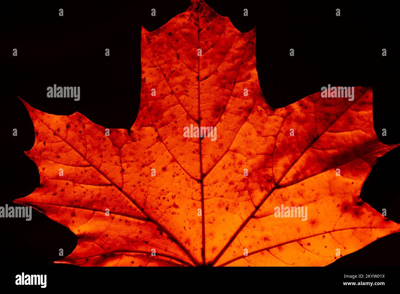 Tableau des couleurs hi-res stock photography and images - Alamy
