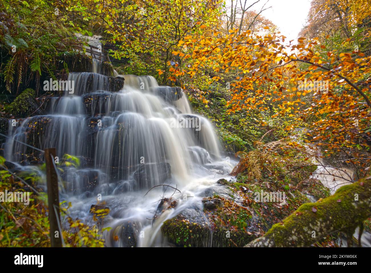 The Birks of Aberfeldy Stock Photo - Alamy