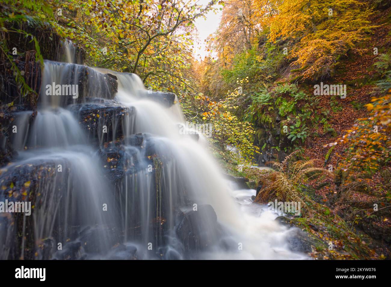 The Birks of Aberfeldy Stock Photo - Alamy