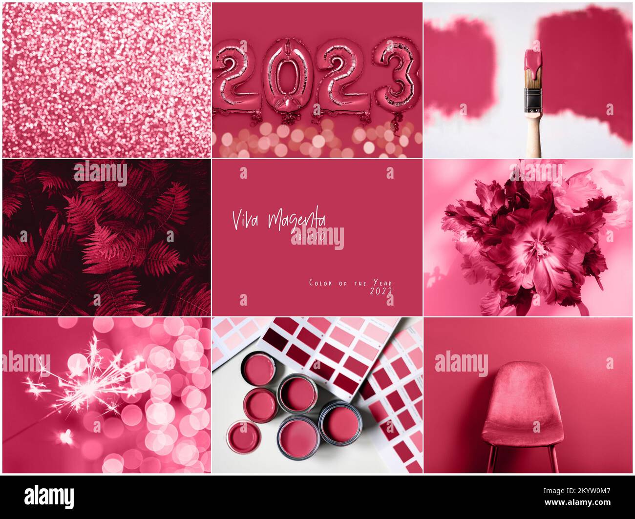 Magenta color 2023 Cut Out Stock Images & Pictures - Alamy