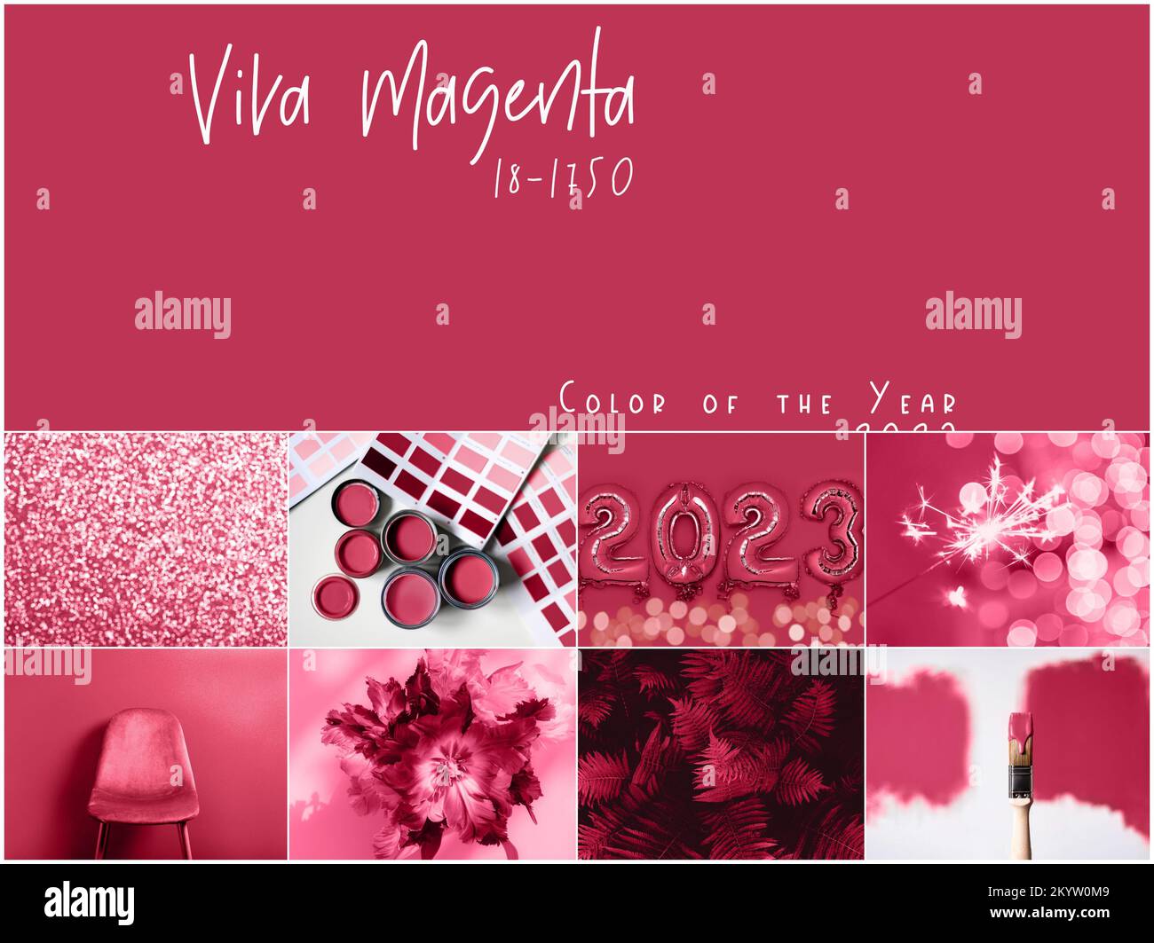 Magenta color 2023 Cut Out Stock Images & Pictures - Alamy