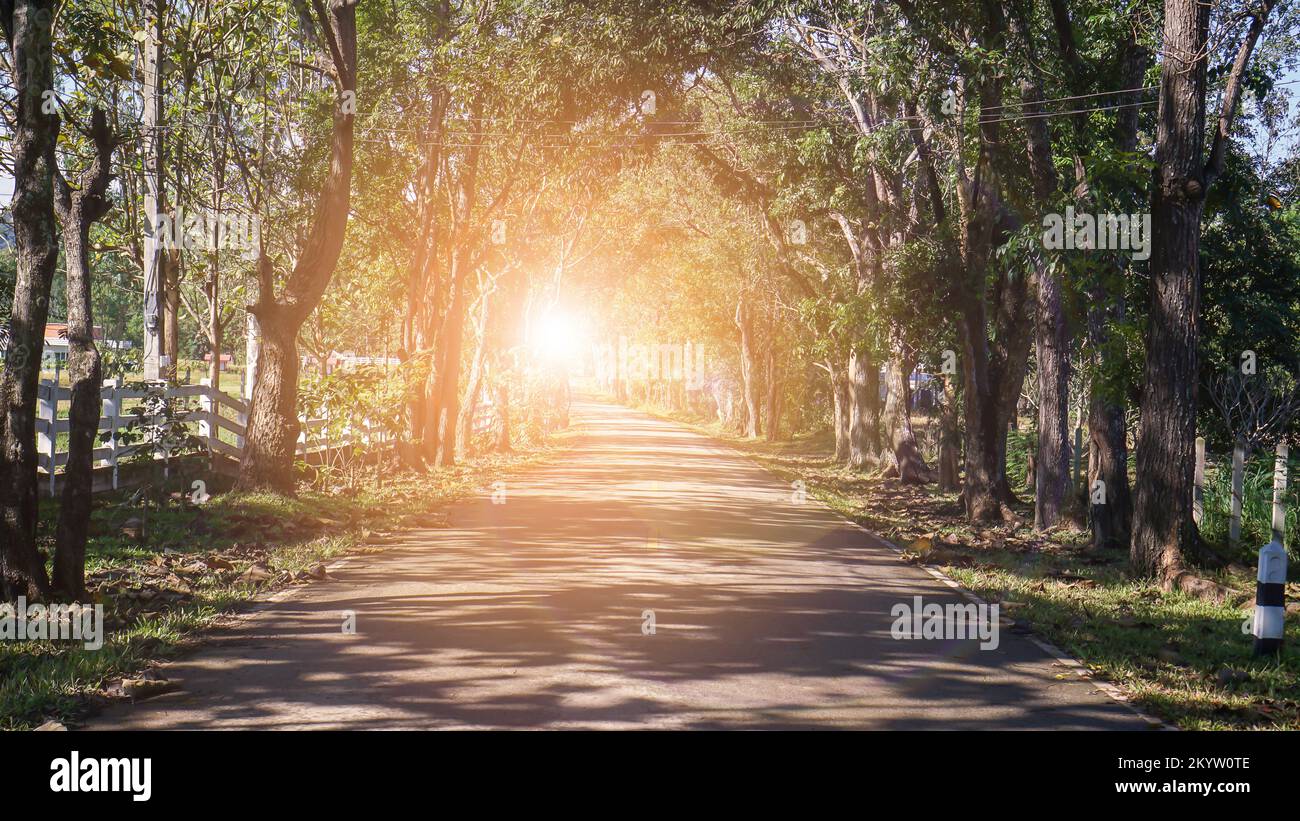 Country roads with natural roadside trees make energy work well Stock ...