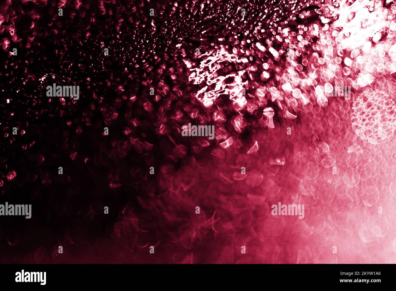 Viva Magenta beautiful Water drops Rain drops on black background ...