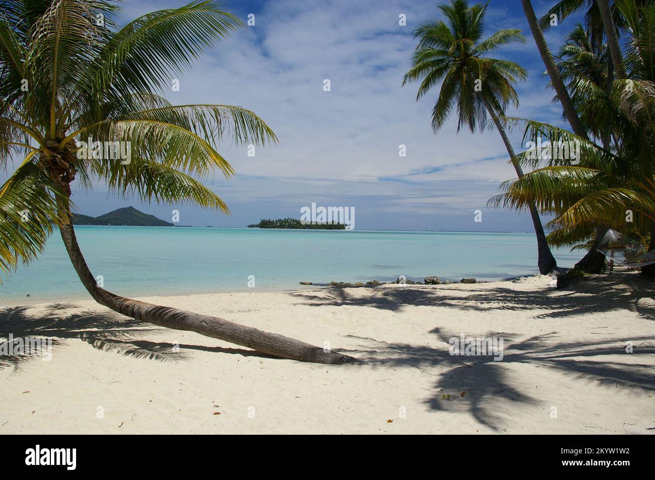 Bora Bora beach scene Stock Photo - Alamy