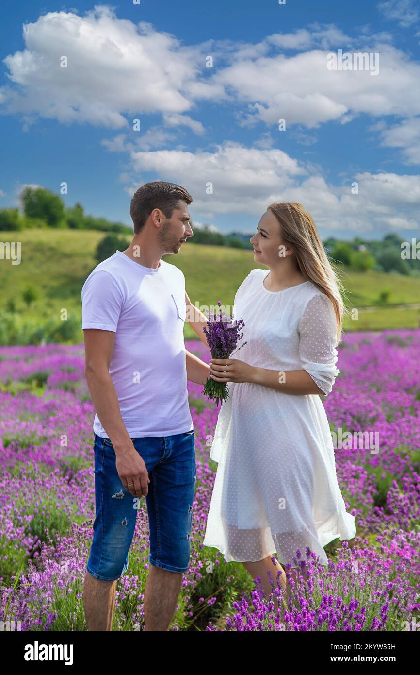 Beautiful purple lavender flowers in a summer field. couple holding ...