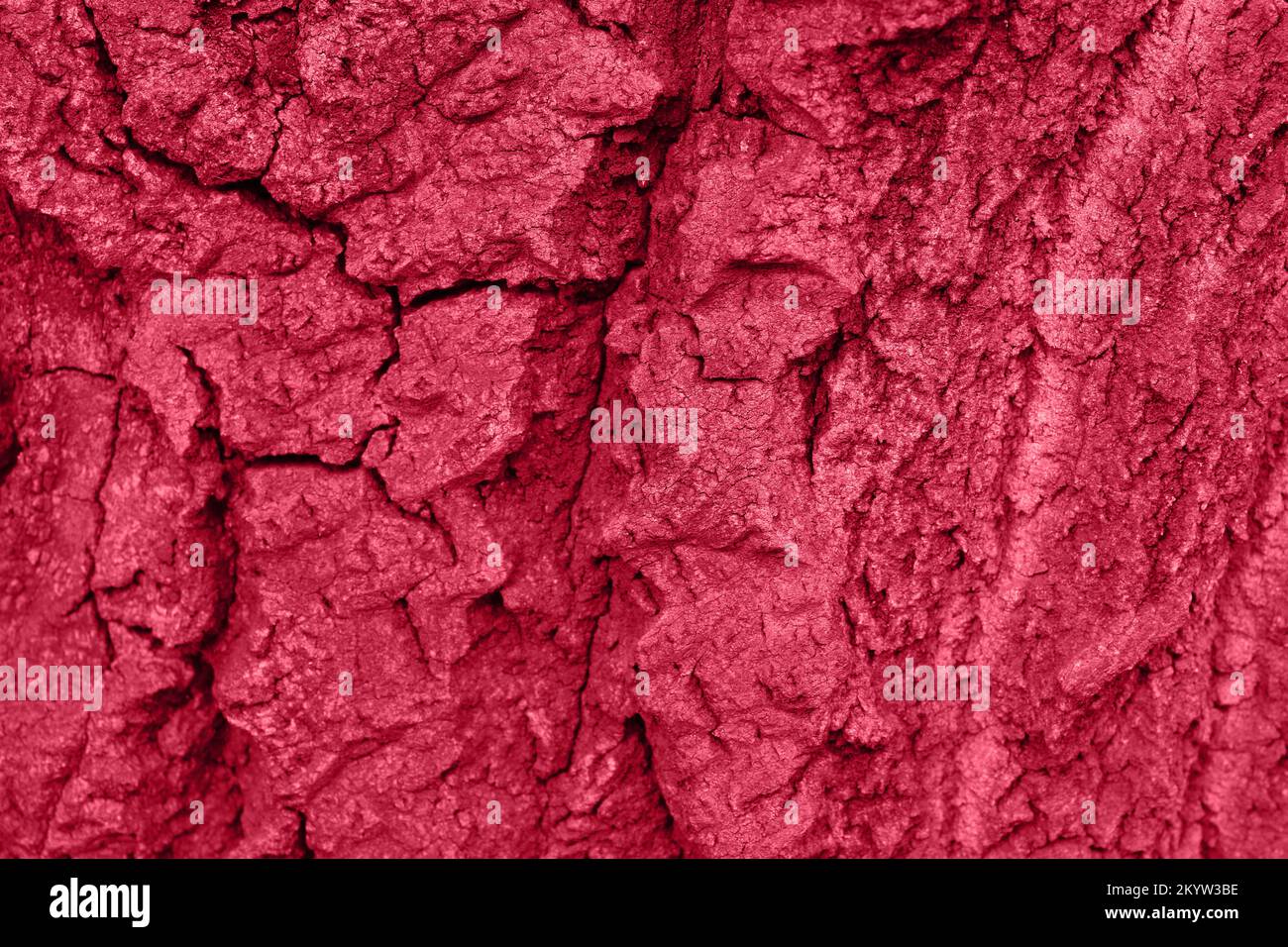 Closeup photography of tree bark texture,red color Stock Photo - Alamy