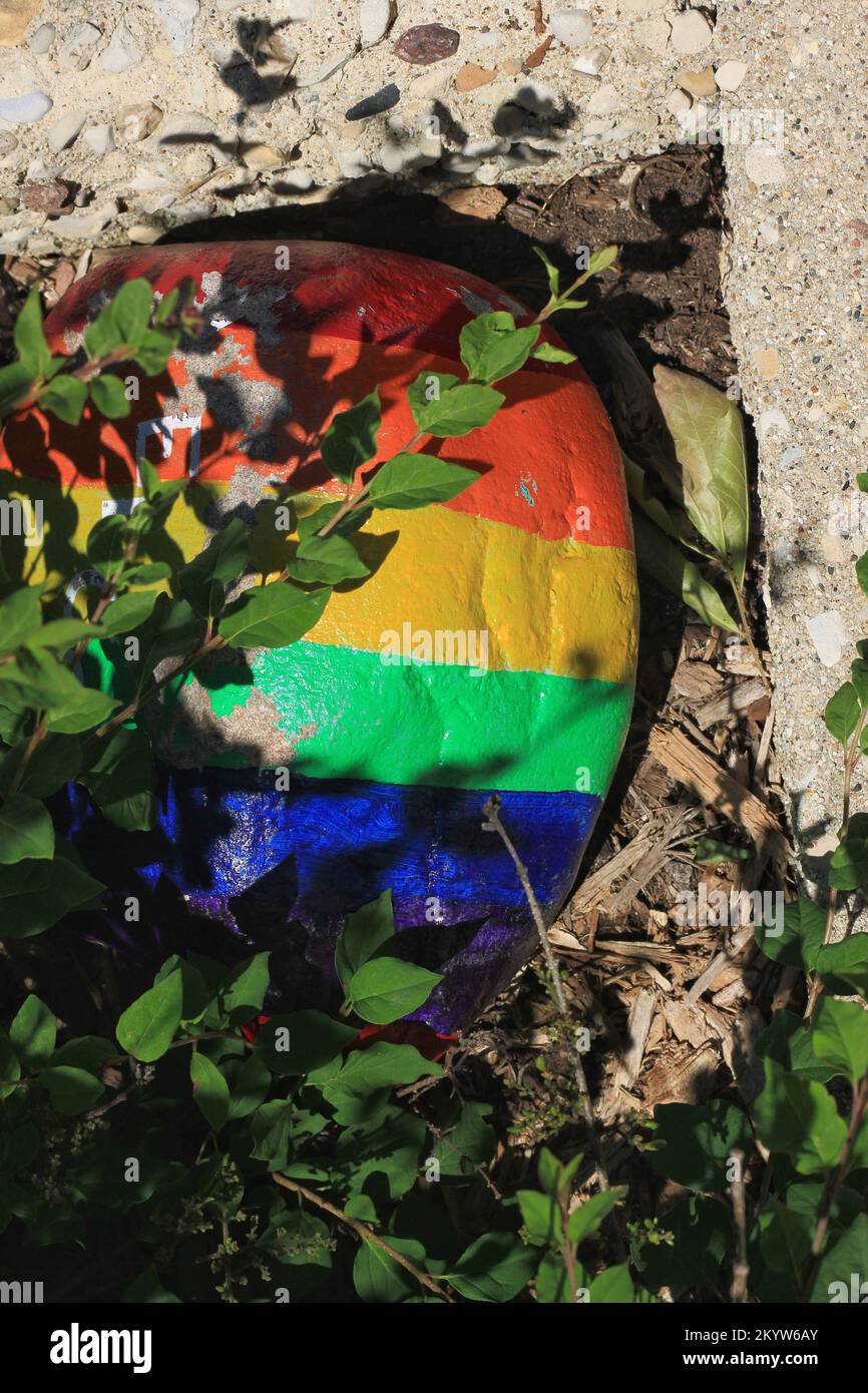 A garden rock painted with rainbow colors in support of the LGBT ...