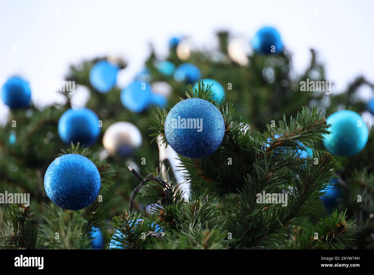 Bottom of christmas tree hi-res stock photography and images - Alamy