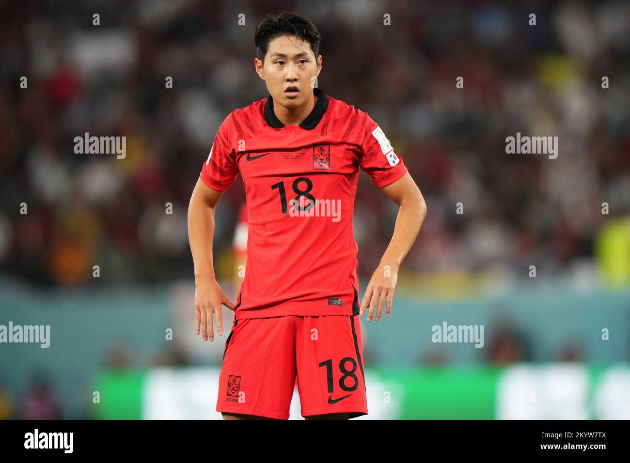 Doha, Qatar. Dec 2, 2022, Lee Kangin Lee of South Korea during the FIFA World Cup Qatar 2022 ...
