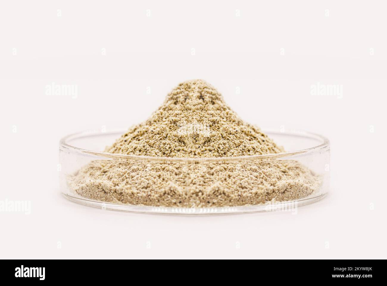 Yeast protein, used as animal feed, dogs, cats and cattle, autolyzed ...