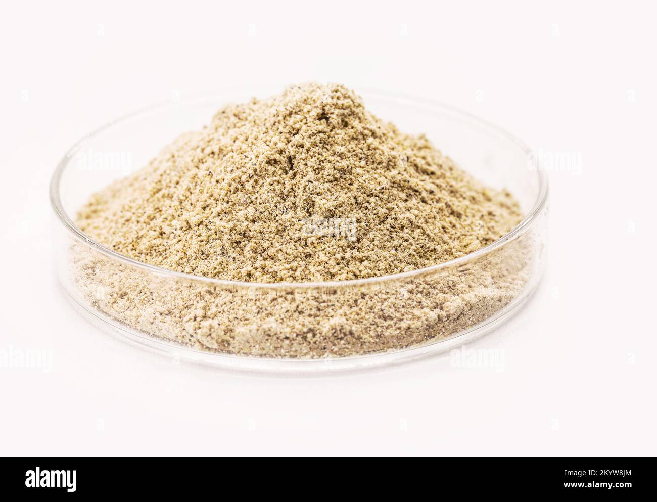 Yeast protein, used as animal feed, dogs, cats and cattle, autolyzed ...