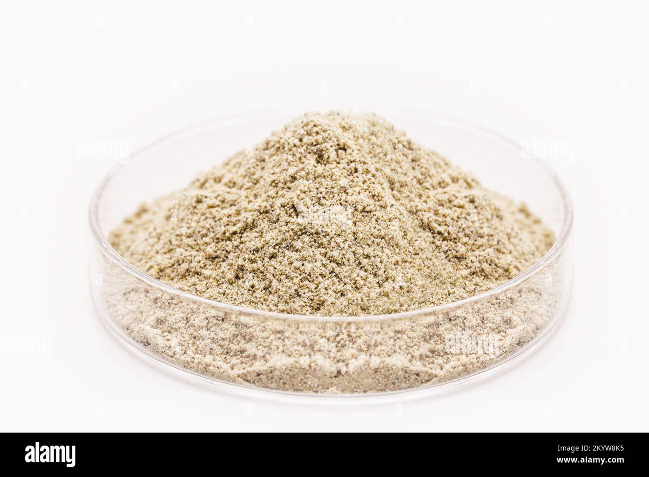 Yeast protein, used as animal feed, dogs, cats and cattle, autolyzed ...