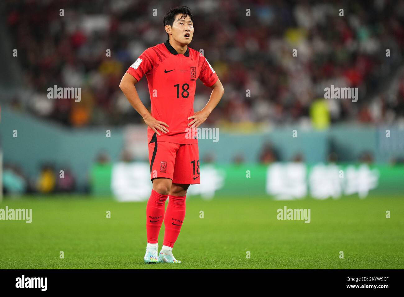 Doha, Qatar. Dec 2, 2022, Lee Kangin Lee of South Korea during the FIFA World Cup Qatar 2022 ...