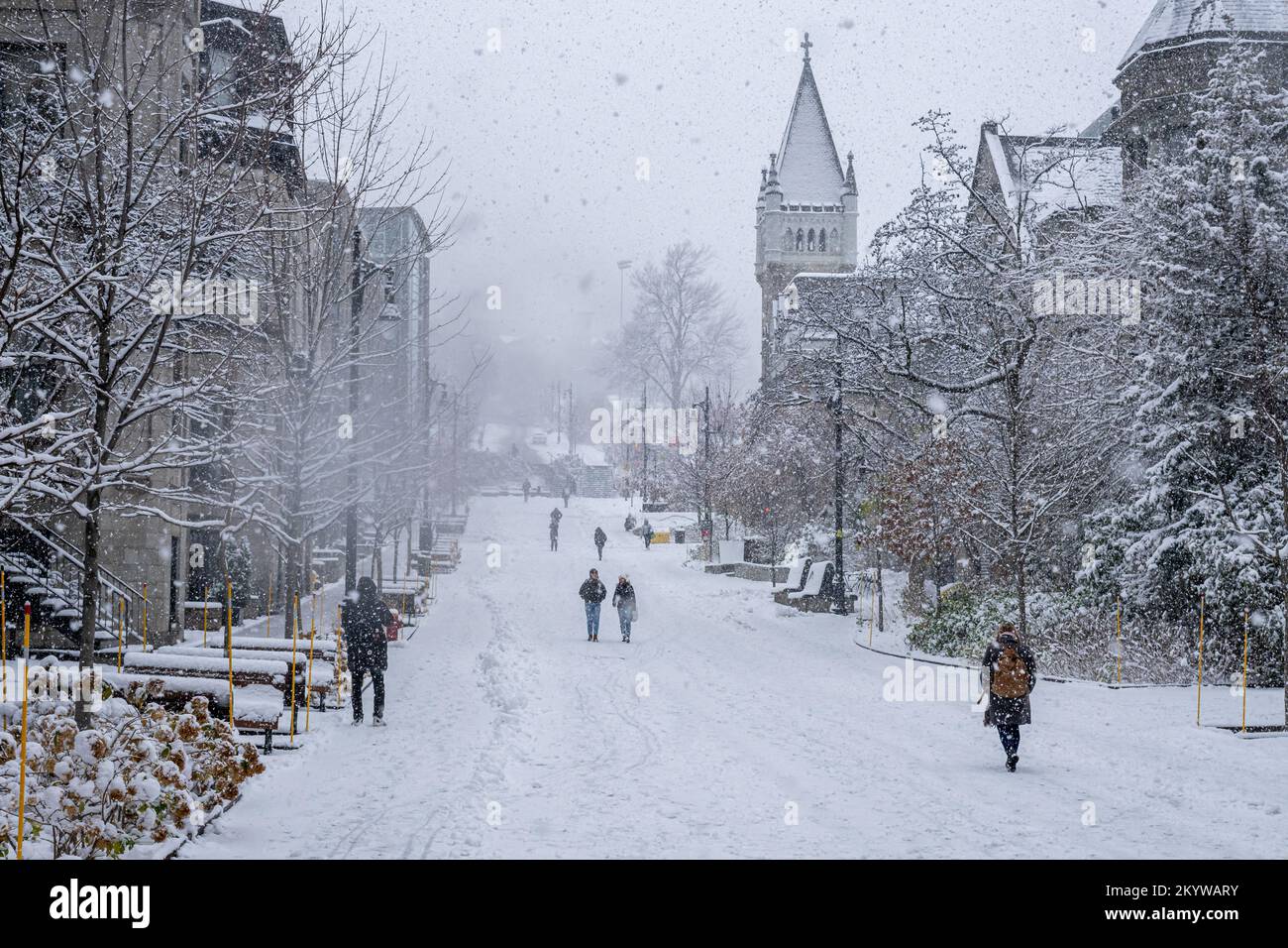 Montreal, Canada - 16 November 2022: Mc Tavish Street and Morrice Hall ...