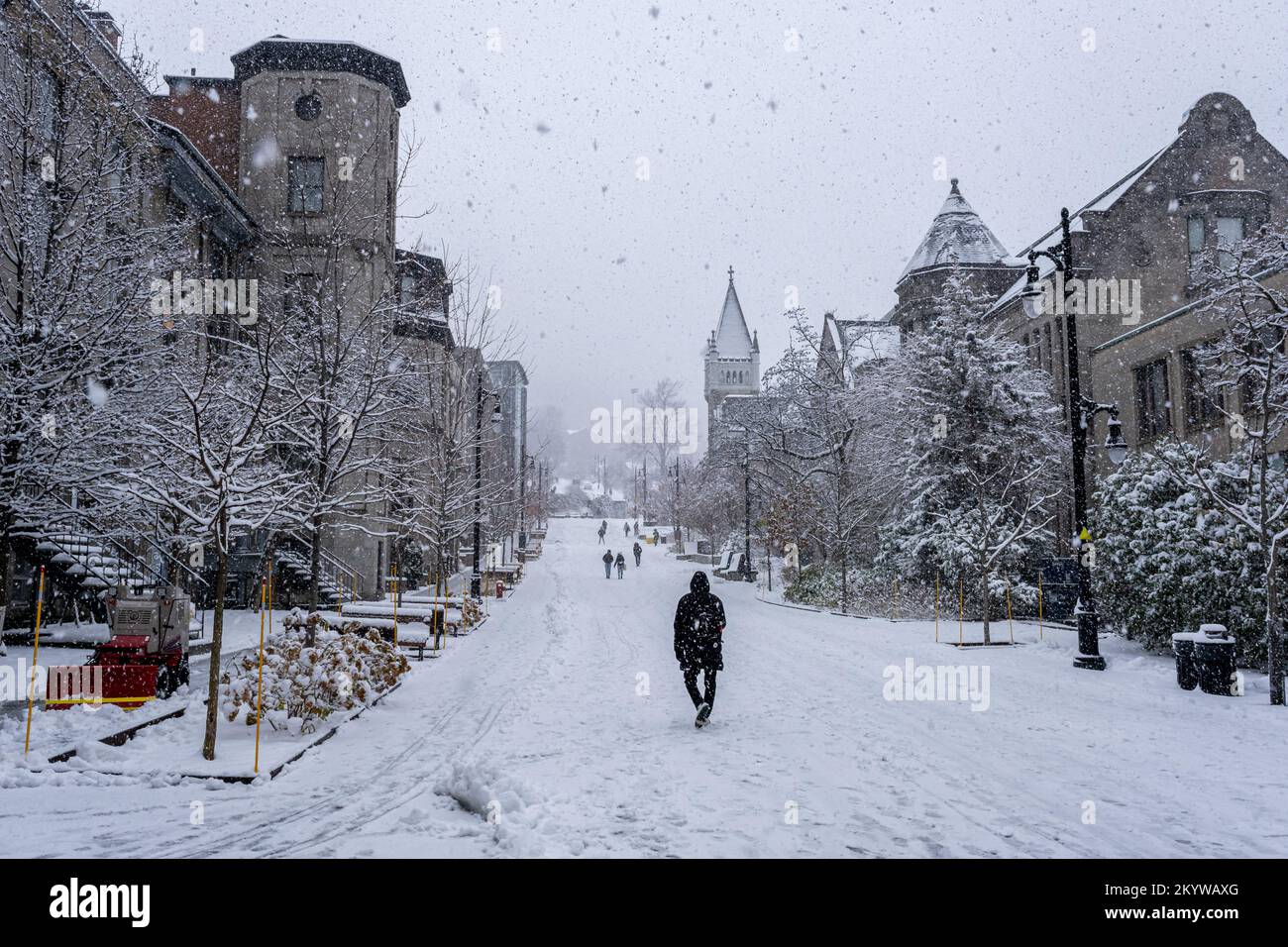 Montreal, Canada - 16 November 2022: Mc Tavish Street and Morrice Hall ...