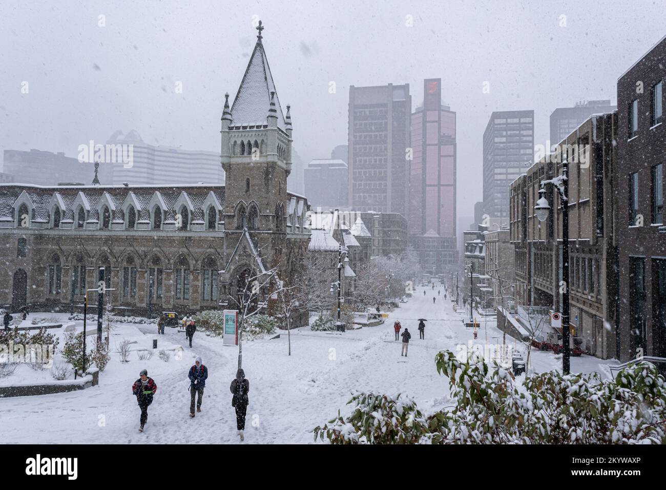 Montreal, Canada - 16 November 2022: Mc Tavish Street and Morrice Hall ...