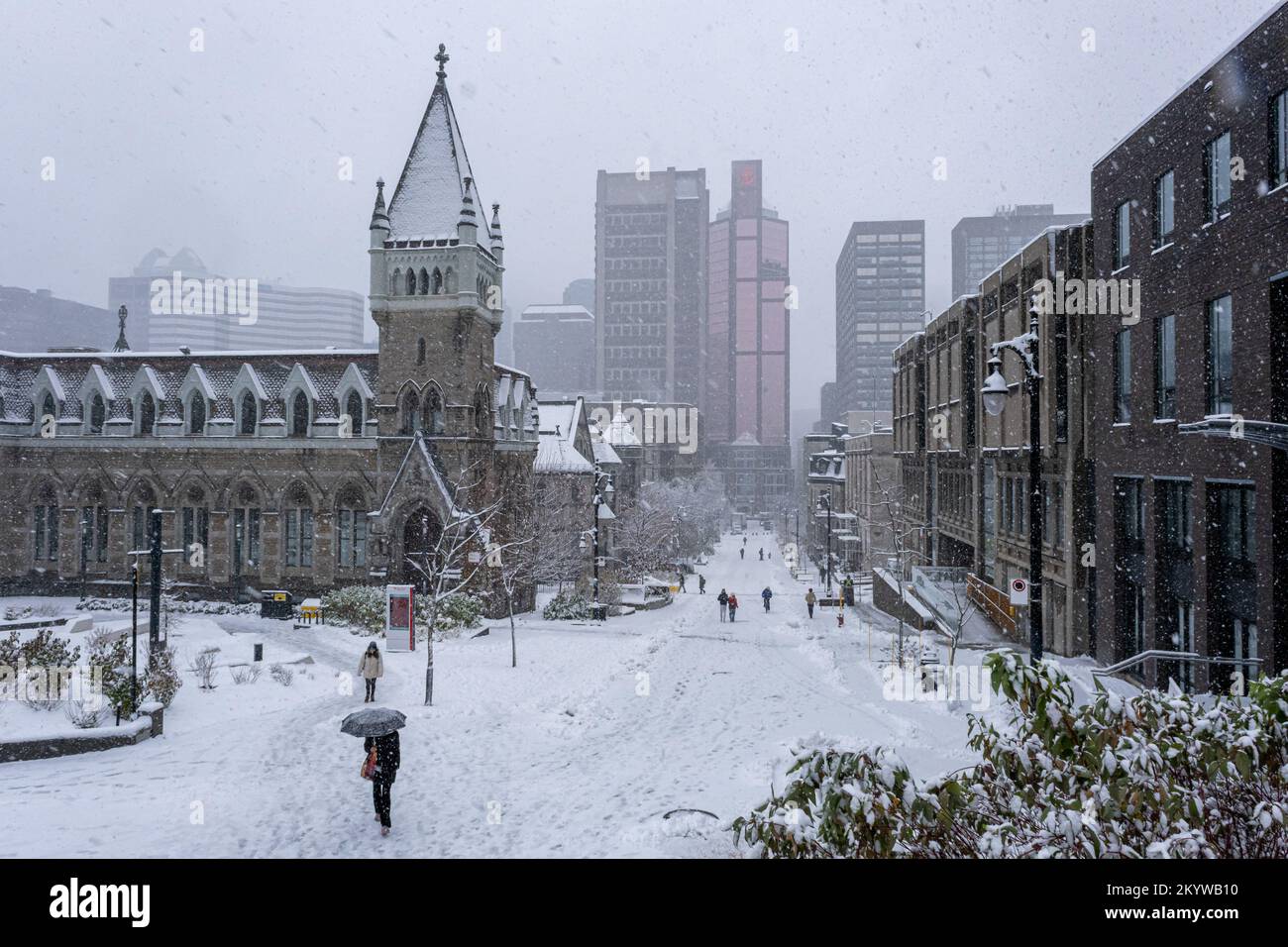 Montreal, Canada - 16 November 2022: Mc Tavish Street and Morrice Hall ...