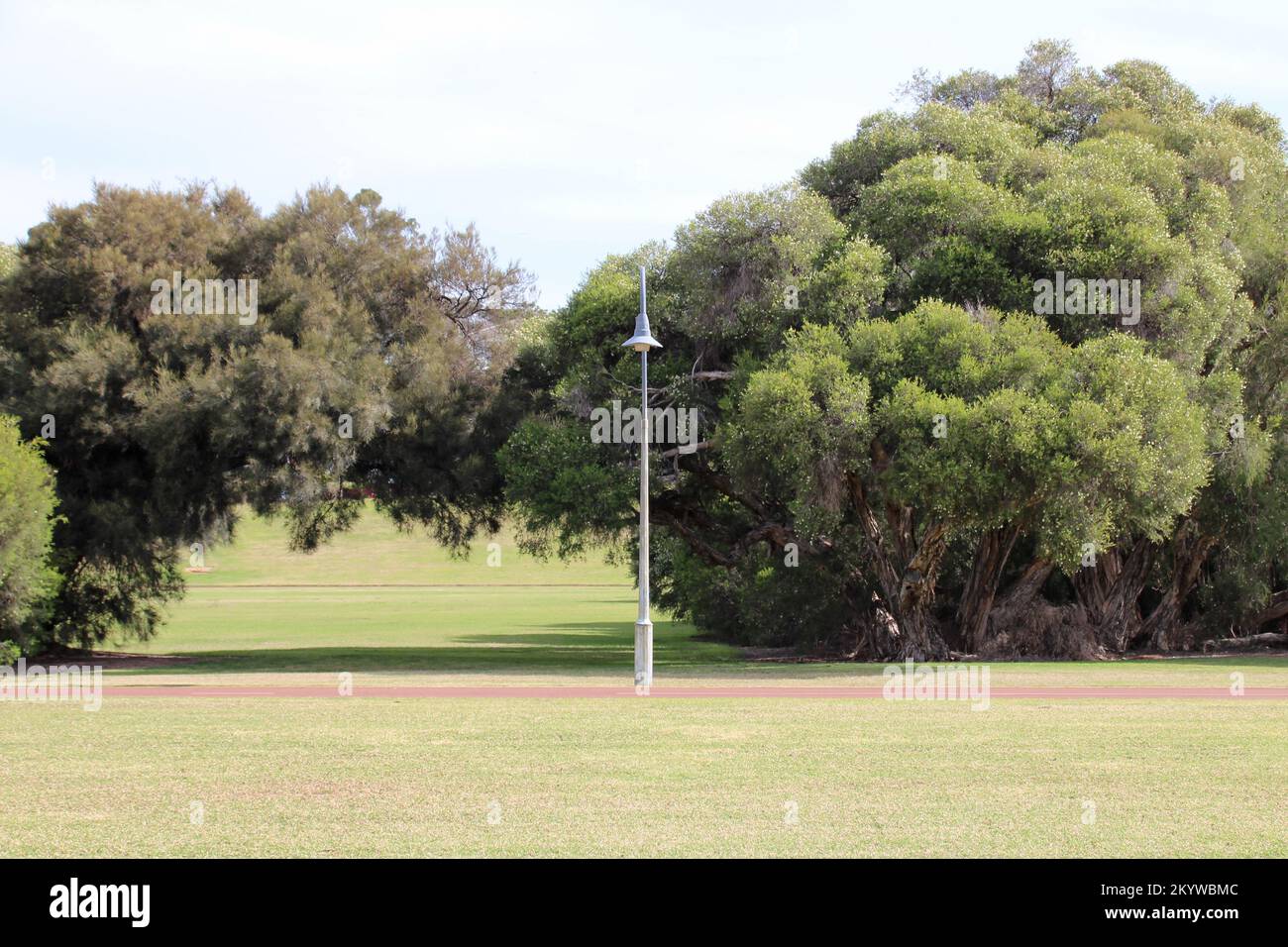 sir james mitchell park in perth (australia Stock Photo - Alamy