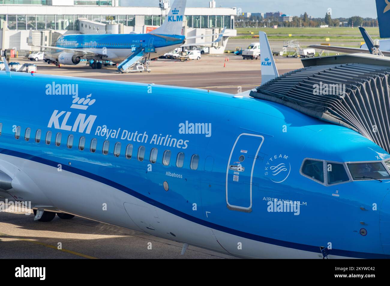 A close-up picture of a KLM plane Stock Photo - Alamy