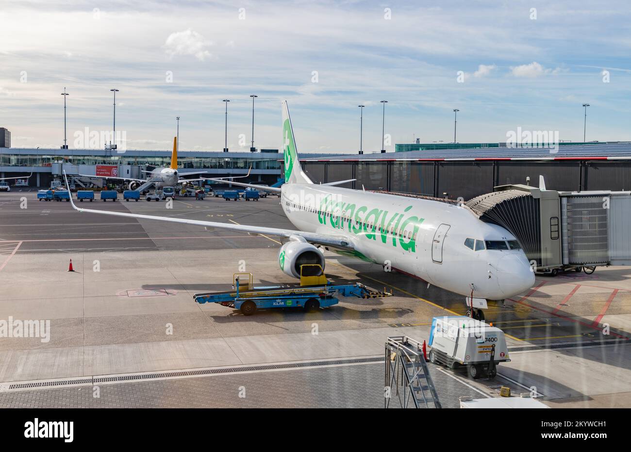 A picture of a Transavia plane in the Schiphol Airport Stock Photo - Alamy