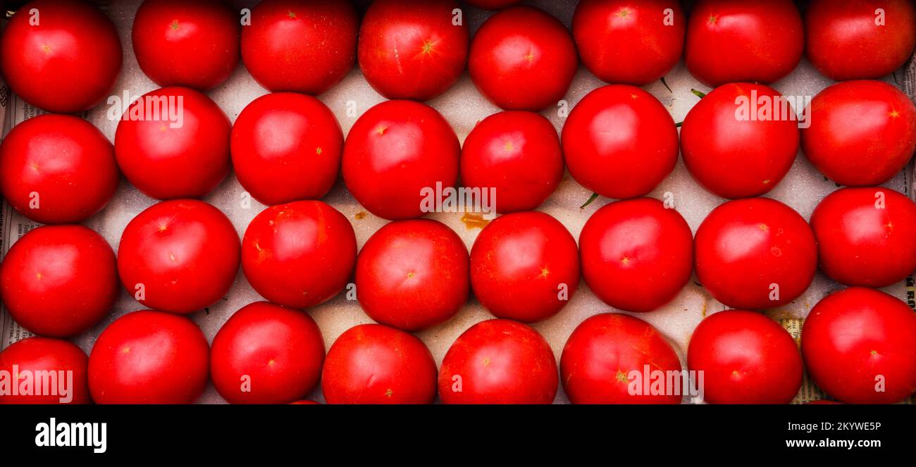 Fresh ripe red tomatoes are in the boxes in market Stock Photo - Alamy