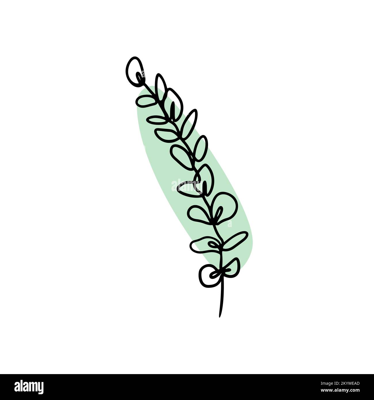 Single line drawing of eucalyptus branch on white Stock Vector Image ...