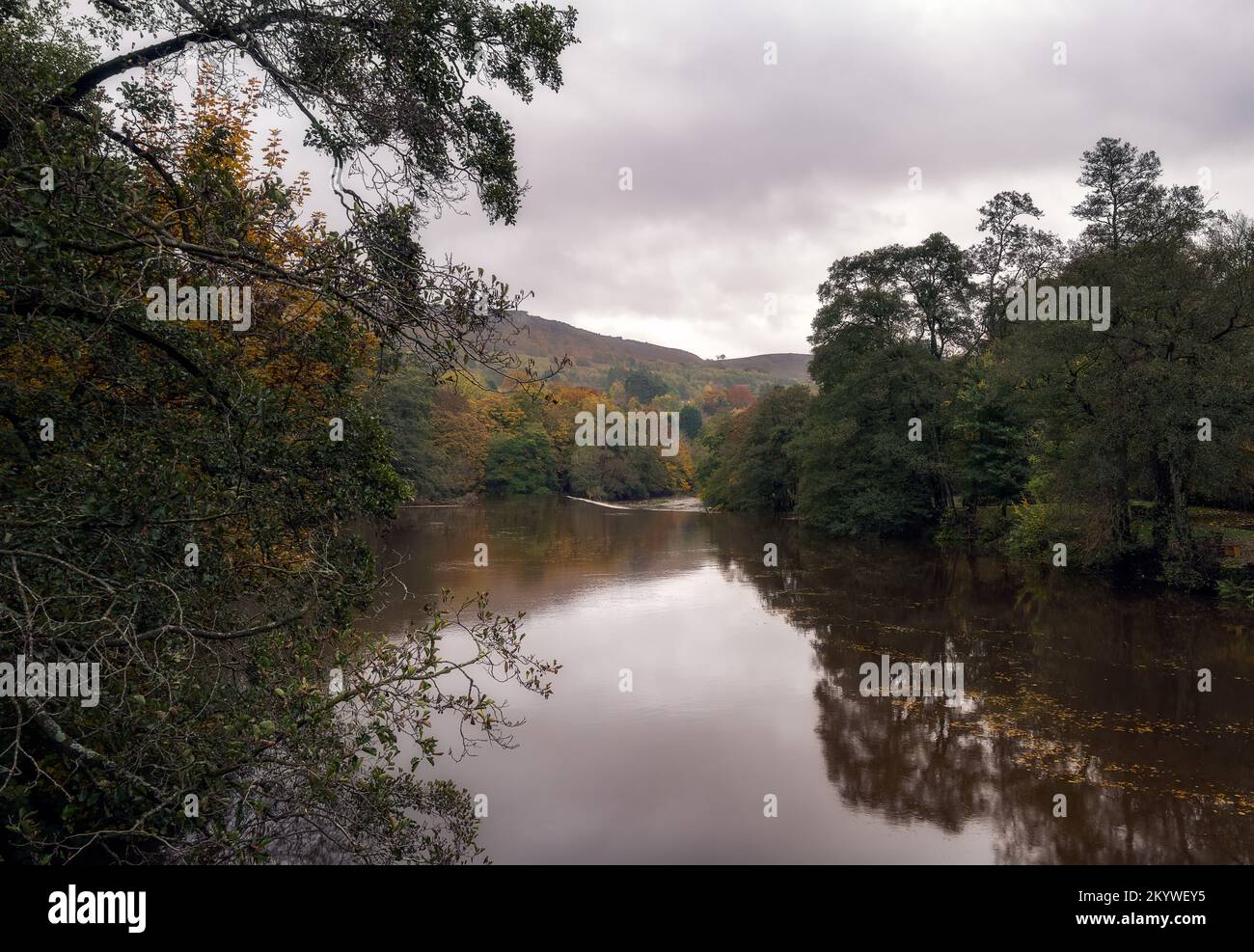 Walking along the river Derwent in autumn, view of Calver weir ...