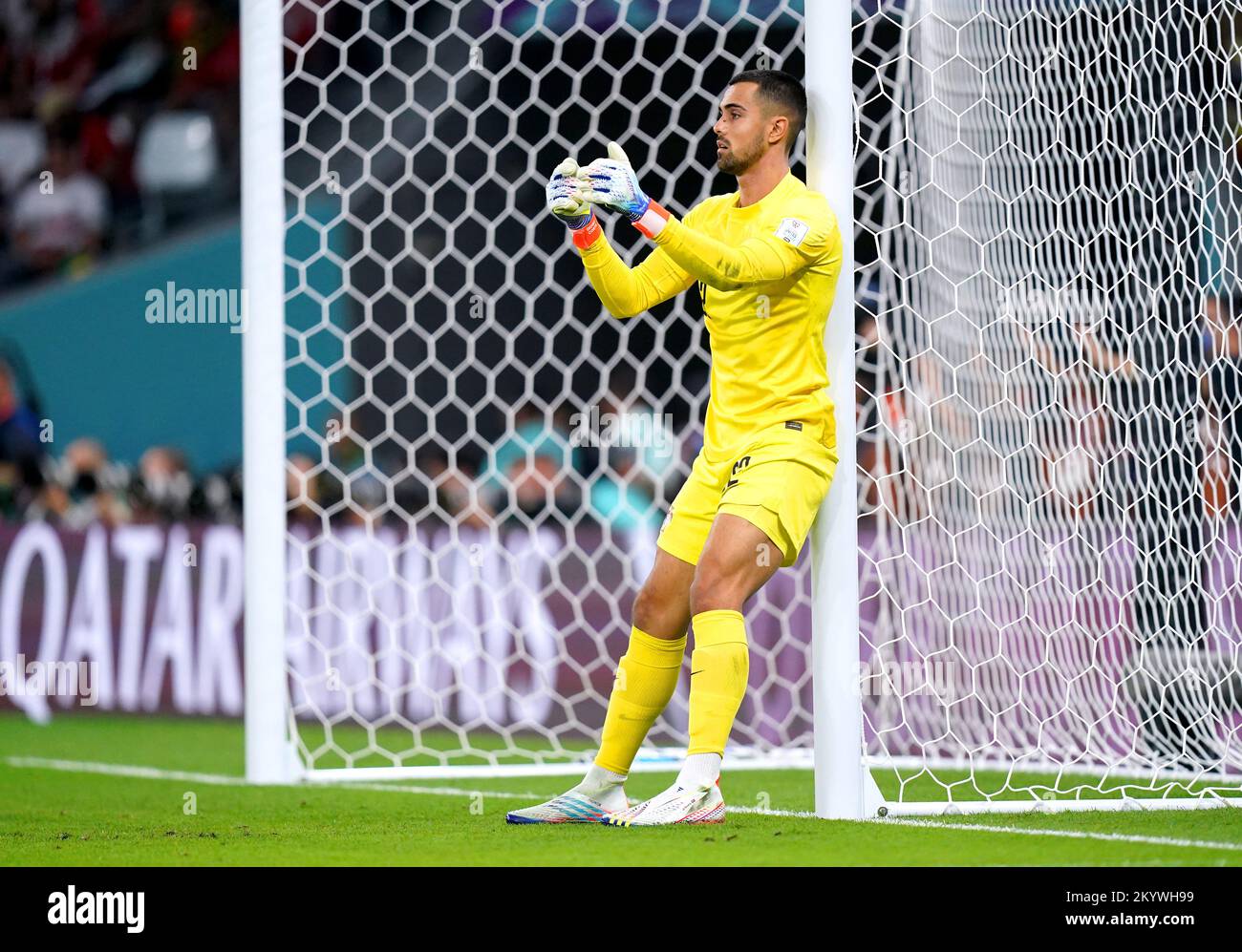 Portugal goalkeeper Diogo Costa during the FIFA World Cup Group H match ...