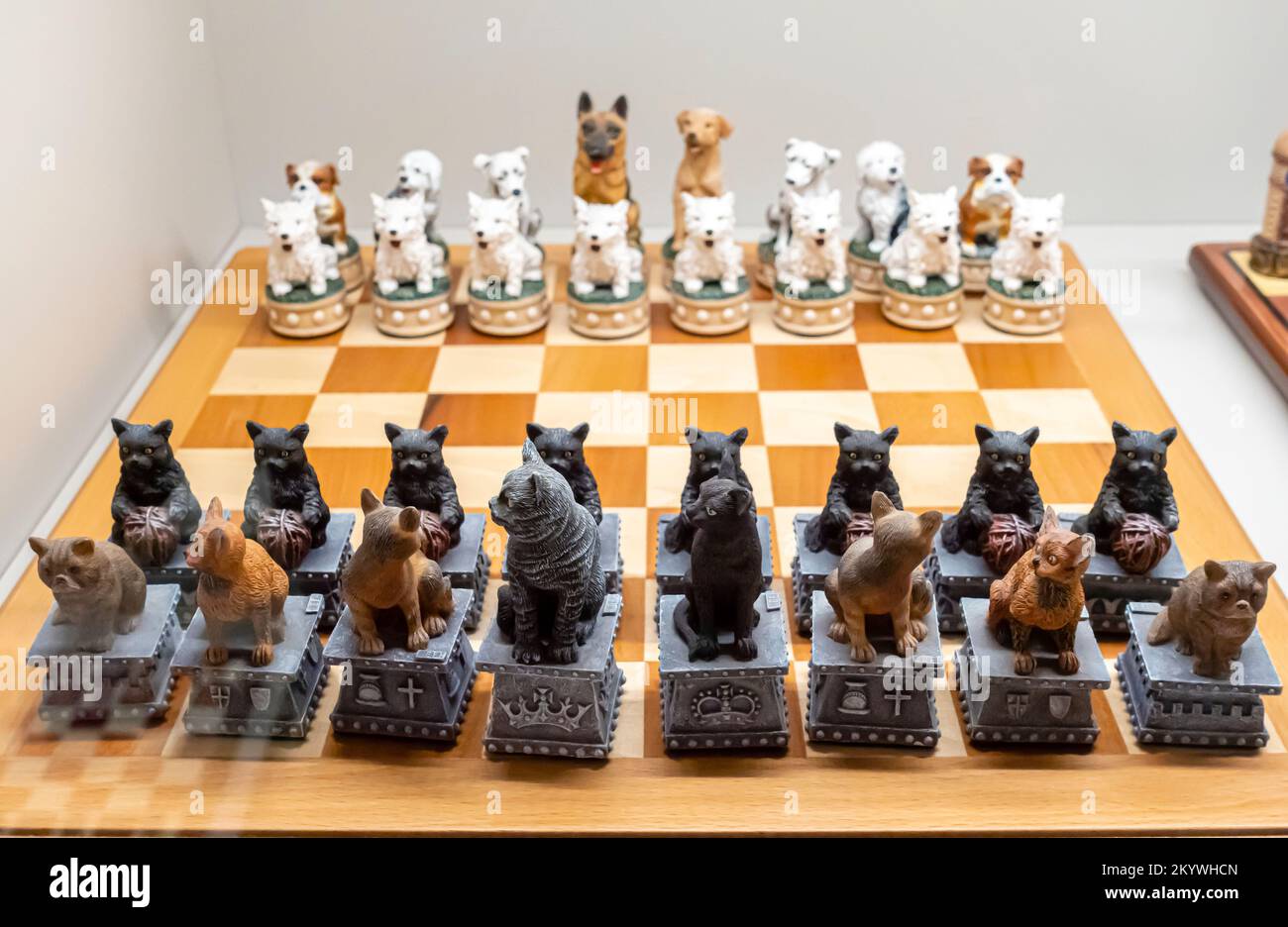 Cats and dogs chess set from the U.S.A. Chess sets from the US. Chess pieces. Chess figure ...