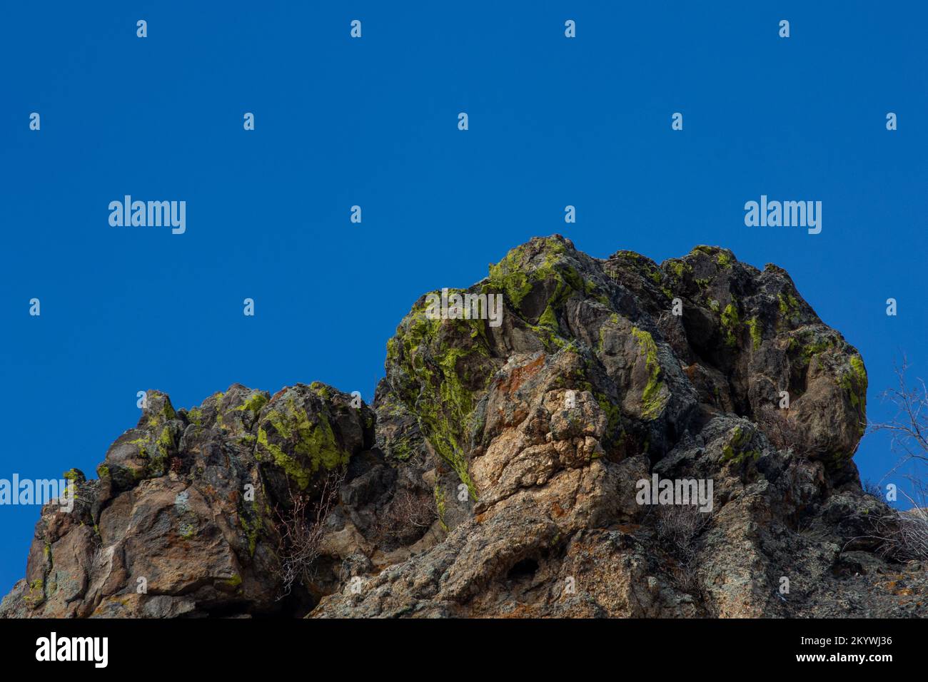 Cliff moss hi-res stock photography and images - Alamy