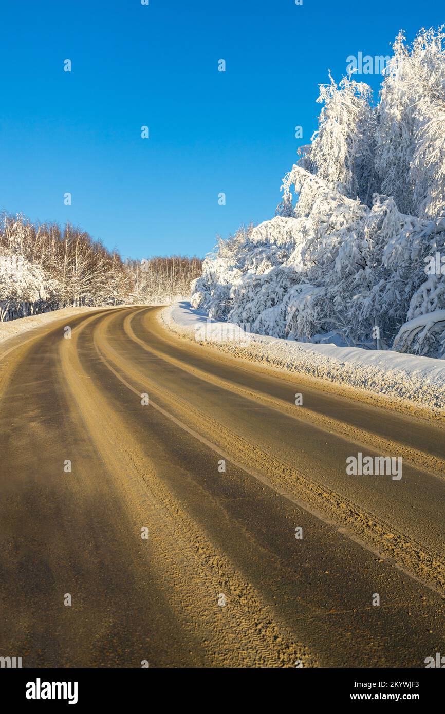 A country road in a snow-covered forest in the taiga on a winter day ...