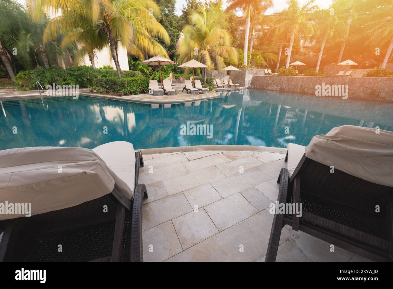 Big pool with palm tree around on bright sunny day Stock Photo - Alamy