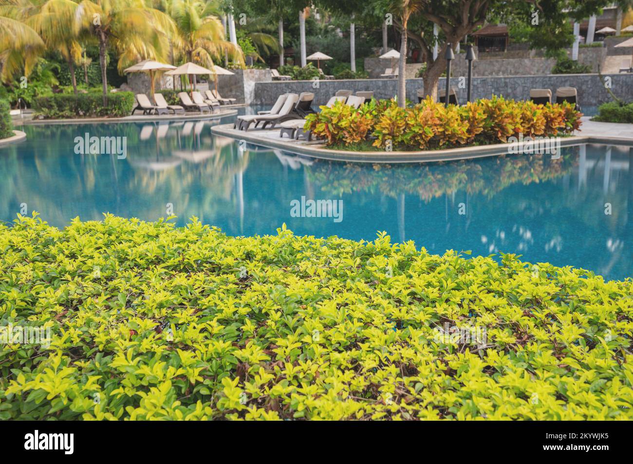 Luxury resort pool background. Tropical summer vacation theme Stock ...