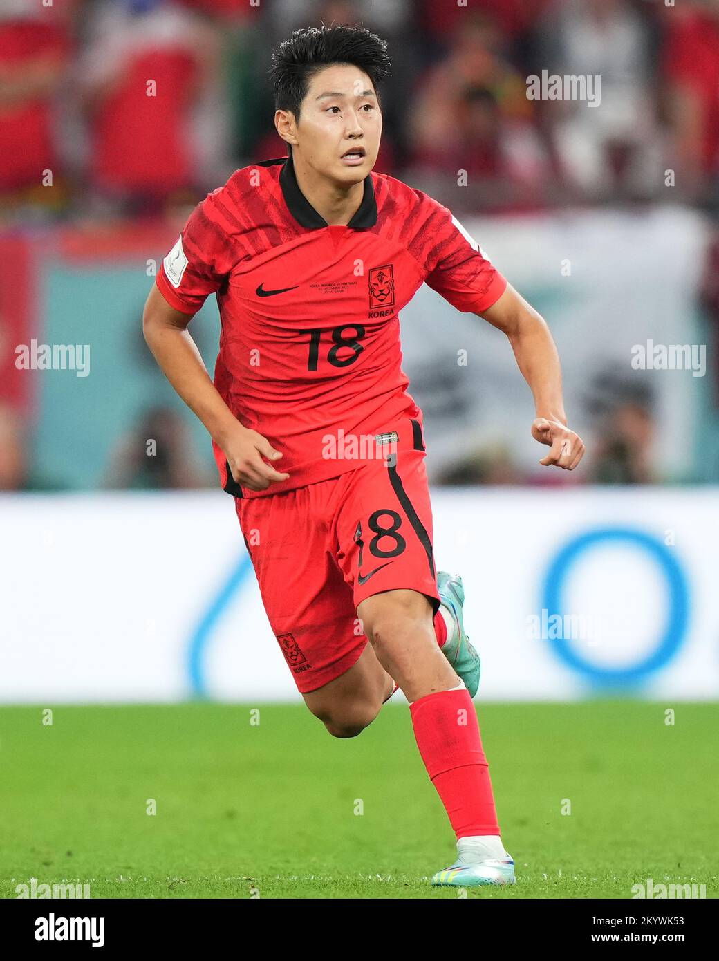 Lee Kangin Lee of South Korea during the FIFA World Cup Qatar 2022 match, Group H, between South ...