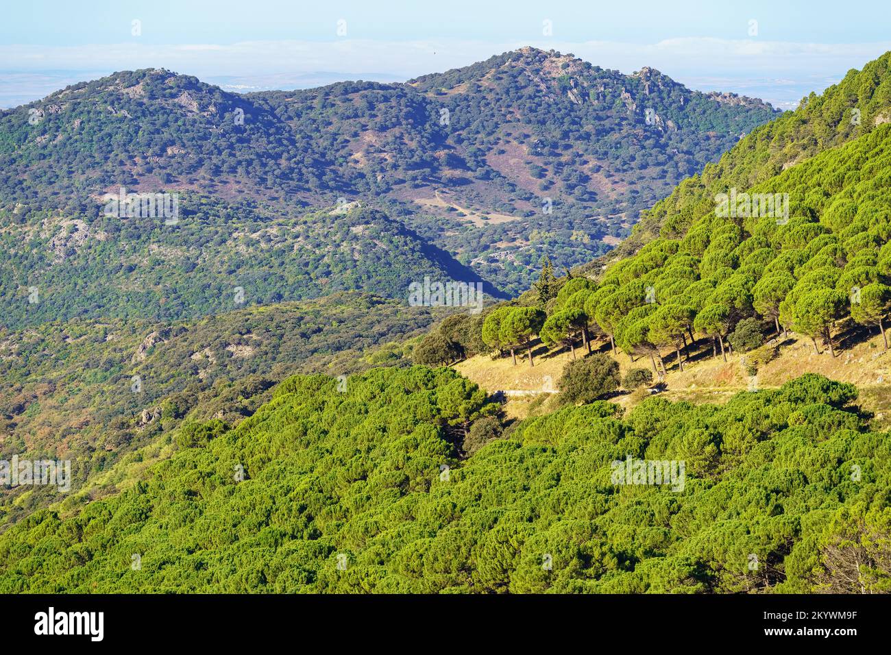 Mountain range of the Sierra de Grazalema, Mediterranean forest of the Iberian peninsula Stock ...