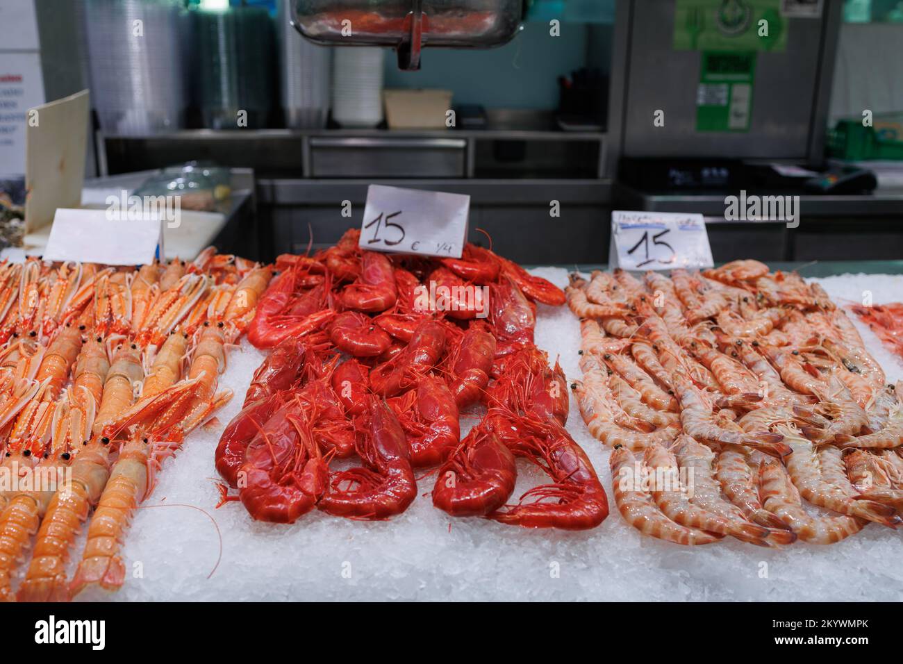 Fresh Shellfish, freshly caught Shrimp and Langoustines displayed on ...