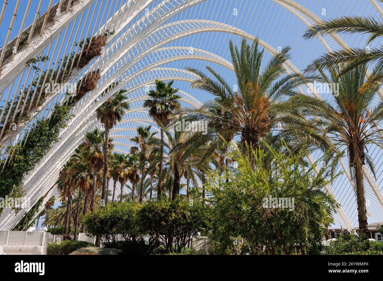 Exterior Structure of the Umbracle Modern Building with its greenery in ...