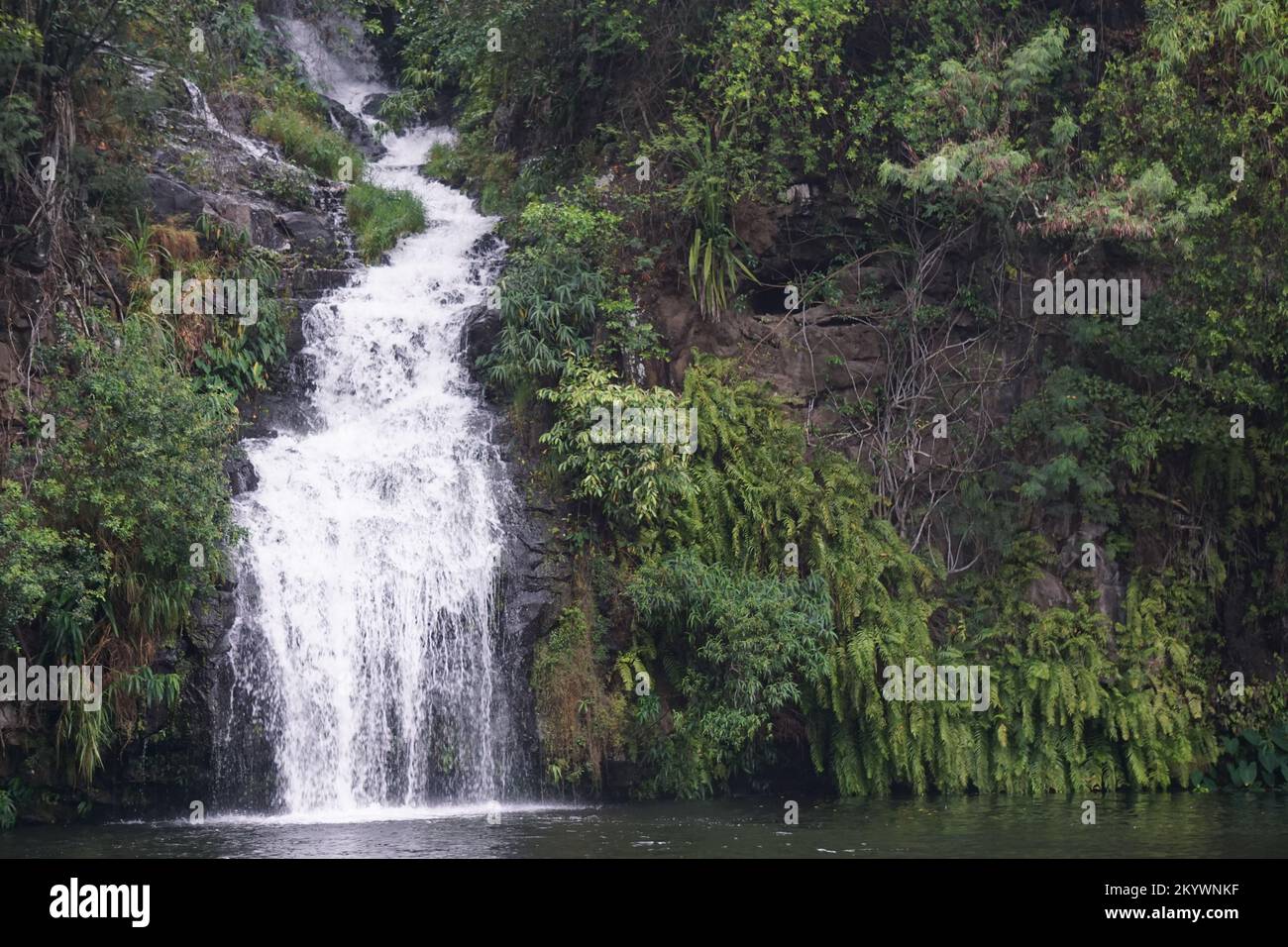 Bassin des Cormorans waterfall on the tropical island of La Réunion ...