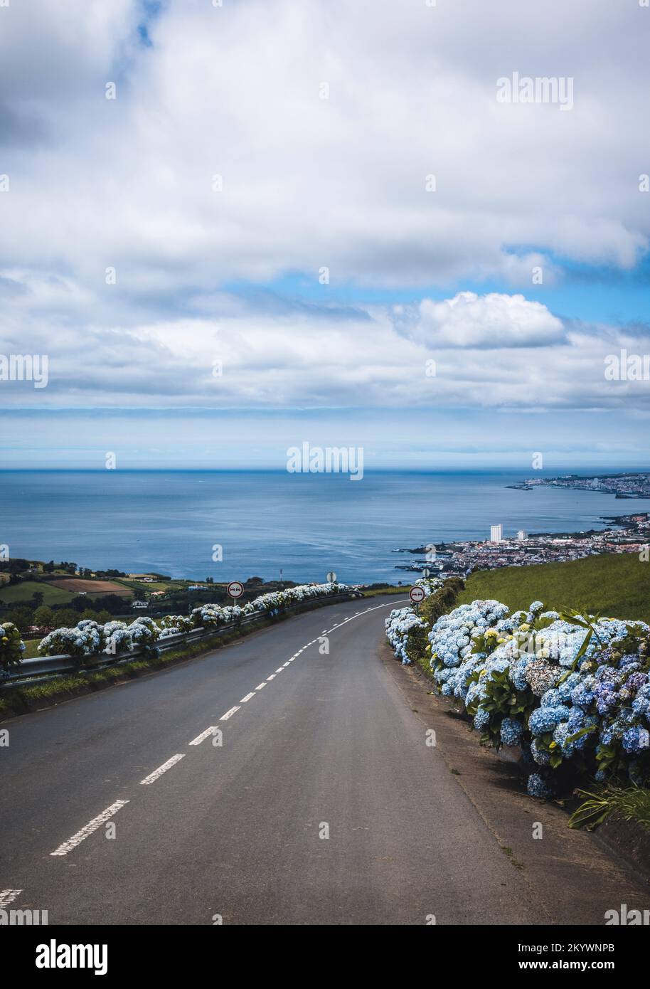 Blue hydrangea lined road leads to Atlantic Ocean, Sao Miguel, Azores ...
