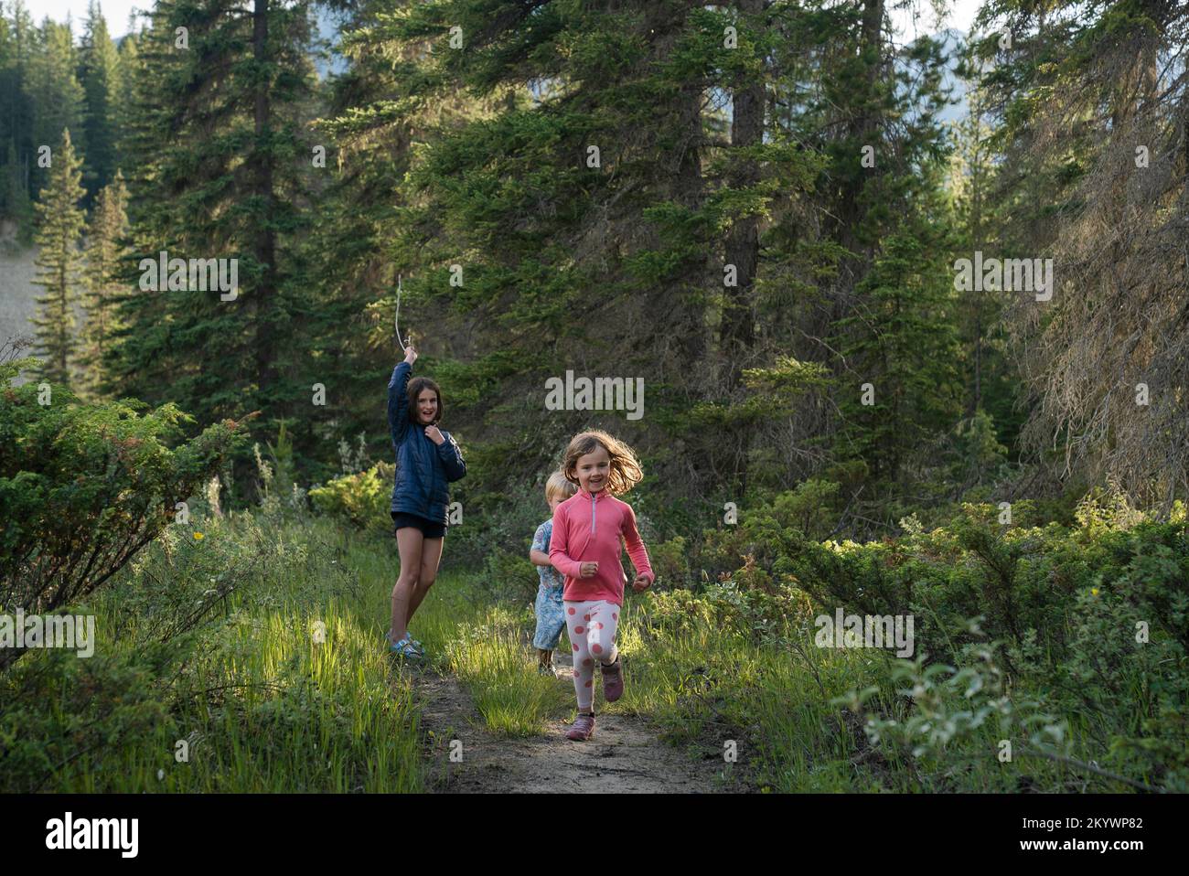 Two children explore forest trail hi-res stock photography and images ...