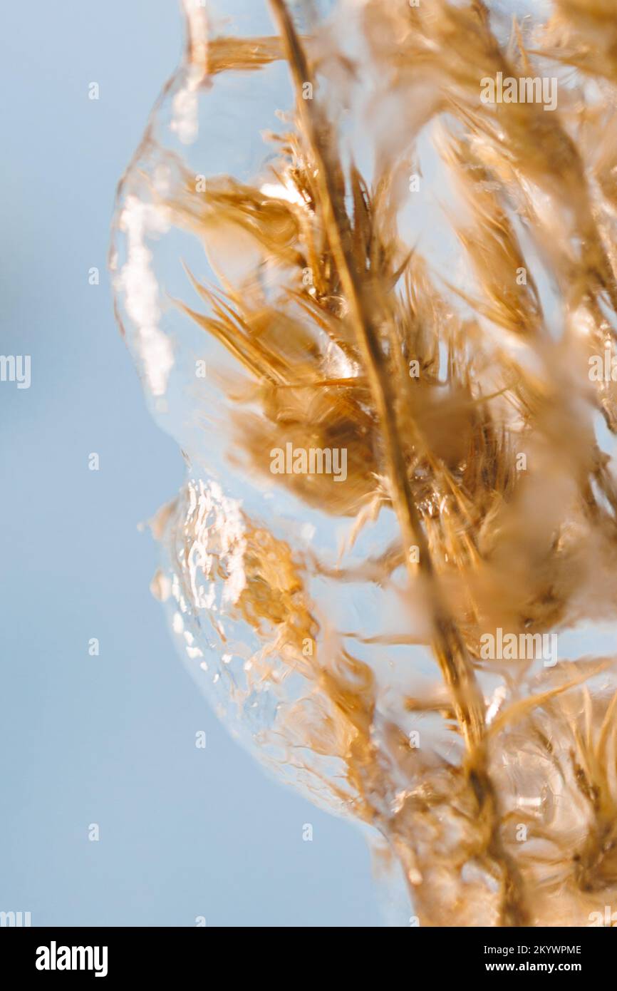 D3d d nfd d d1 hi-res stock photography and images - Alamy